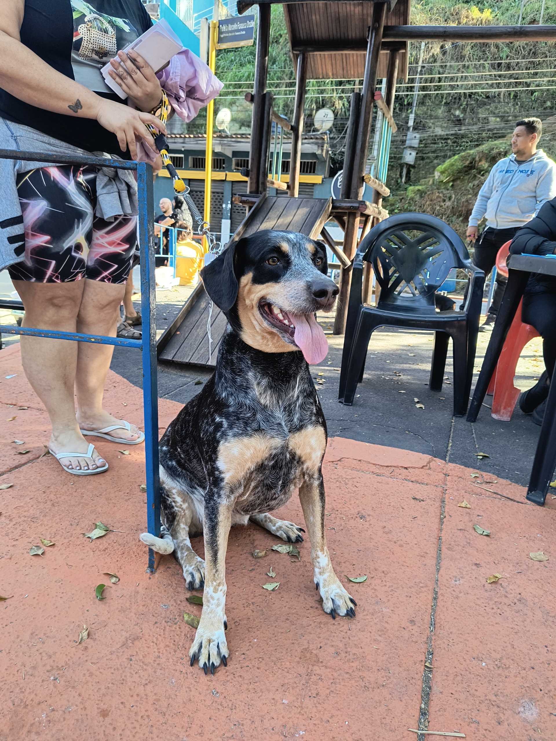 Barra Mansa - Portal de Notícias de Barra Mansa - RJ